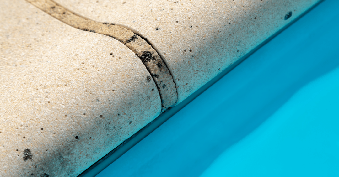 5 Reasons You Need Pool Coping and How to Install It
