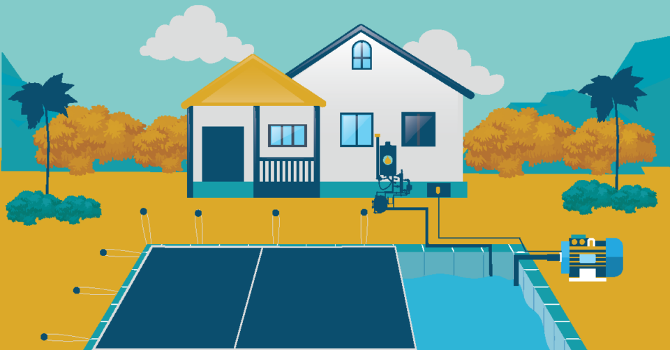 How to Remove Pink Mold from Your Pool - Pool Care School